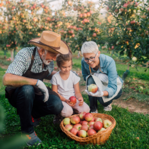 Summary Plan Description - Adventist Retirement